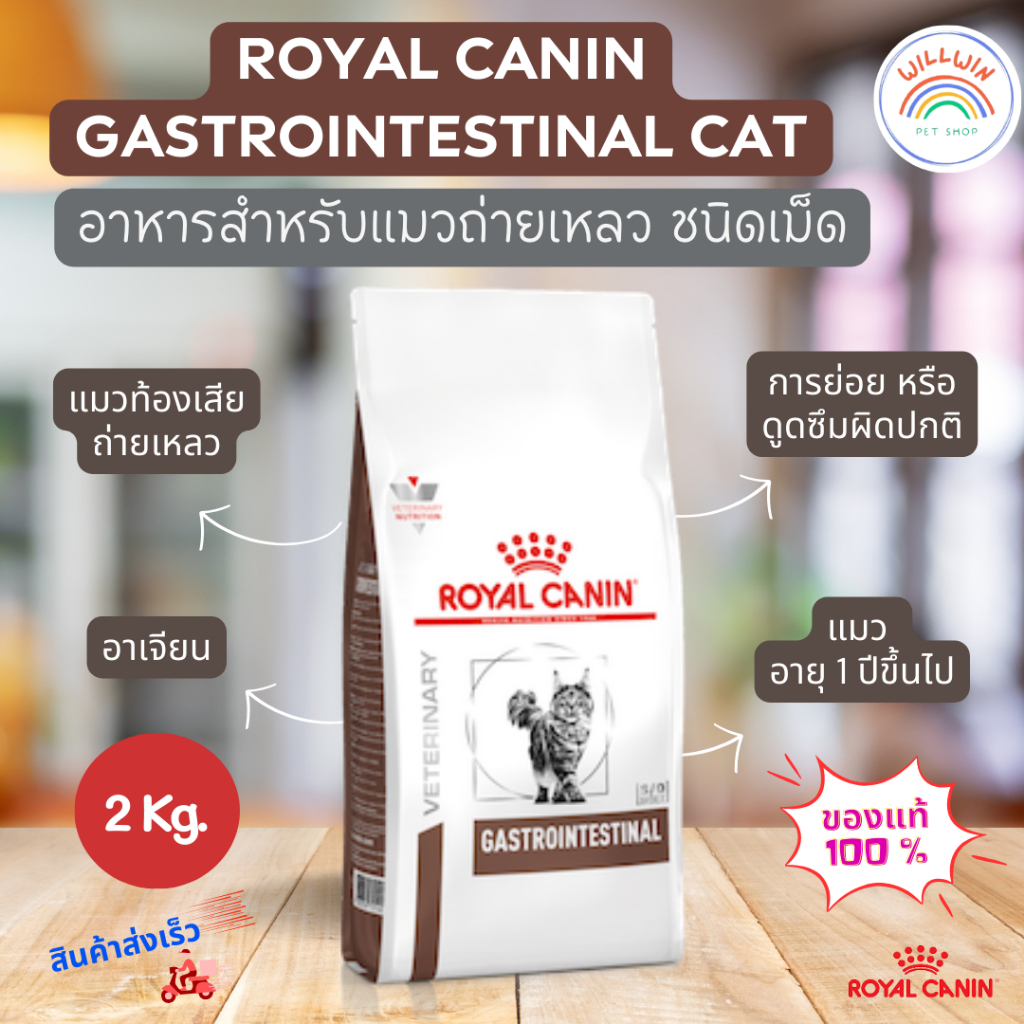 Royal Canin Gastrointestinal Cat โรยัลคานิน อาหารสำหรับแมวถ่ายเหลว การ ...