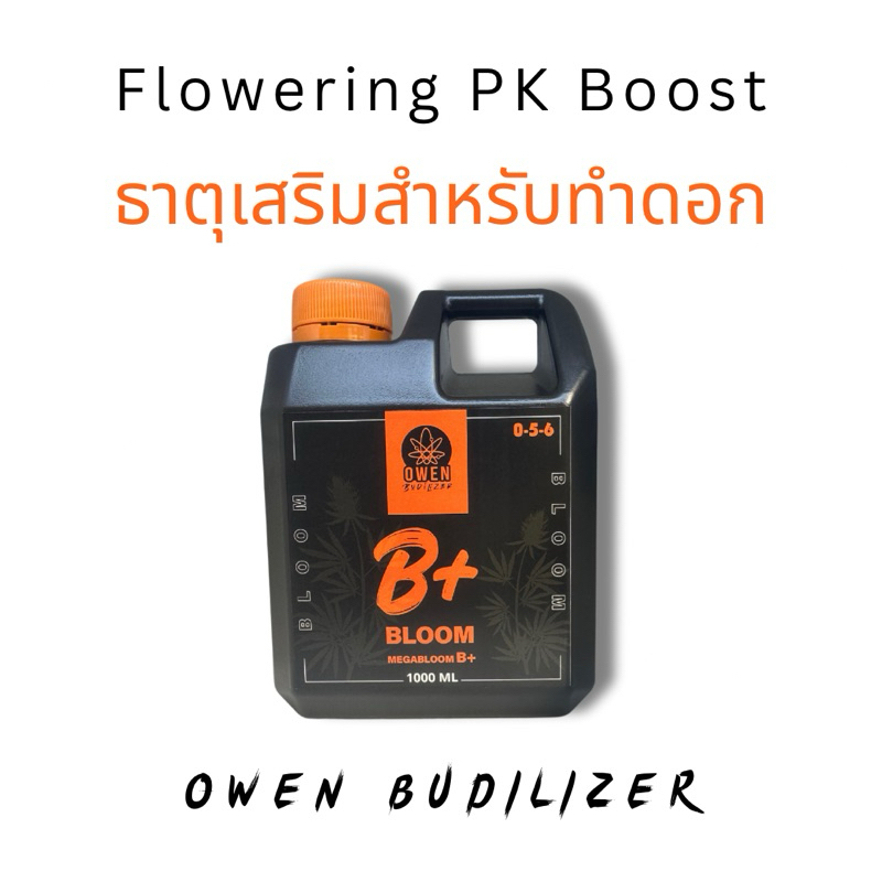 Mega Bloom B+ เสริมทำดอก PK Boost | Shopee Thailand