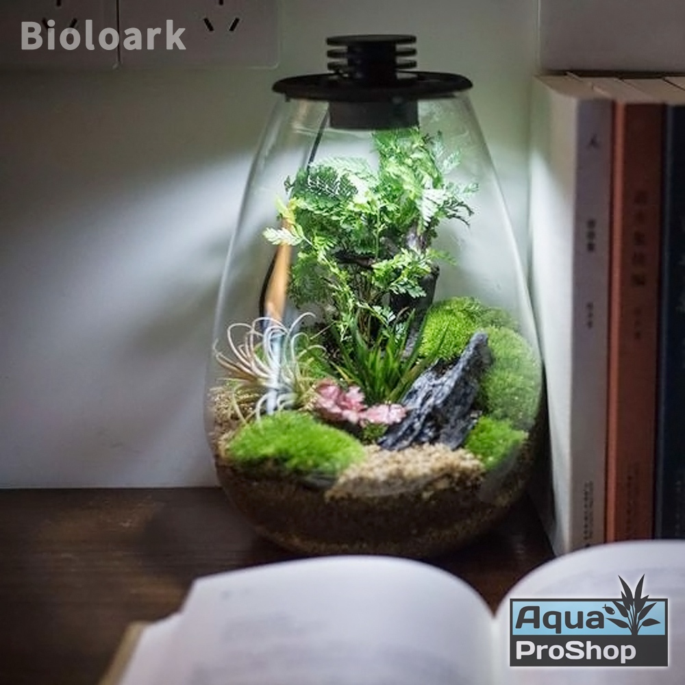 Bioloark Bio Bottle SD โหลแก้วเทอราเรี่ยมกลม โหลเลี้ยงต้นไม้ SD-175 SD ...