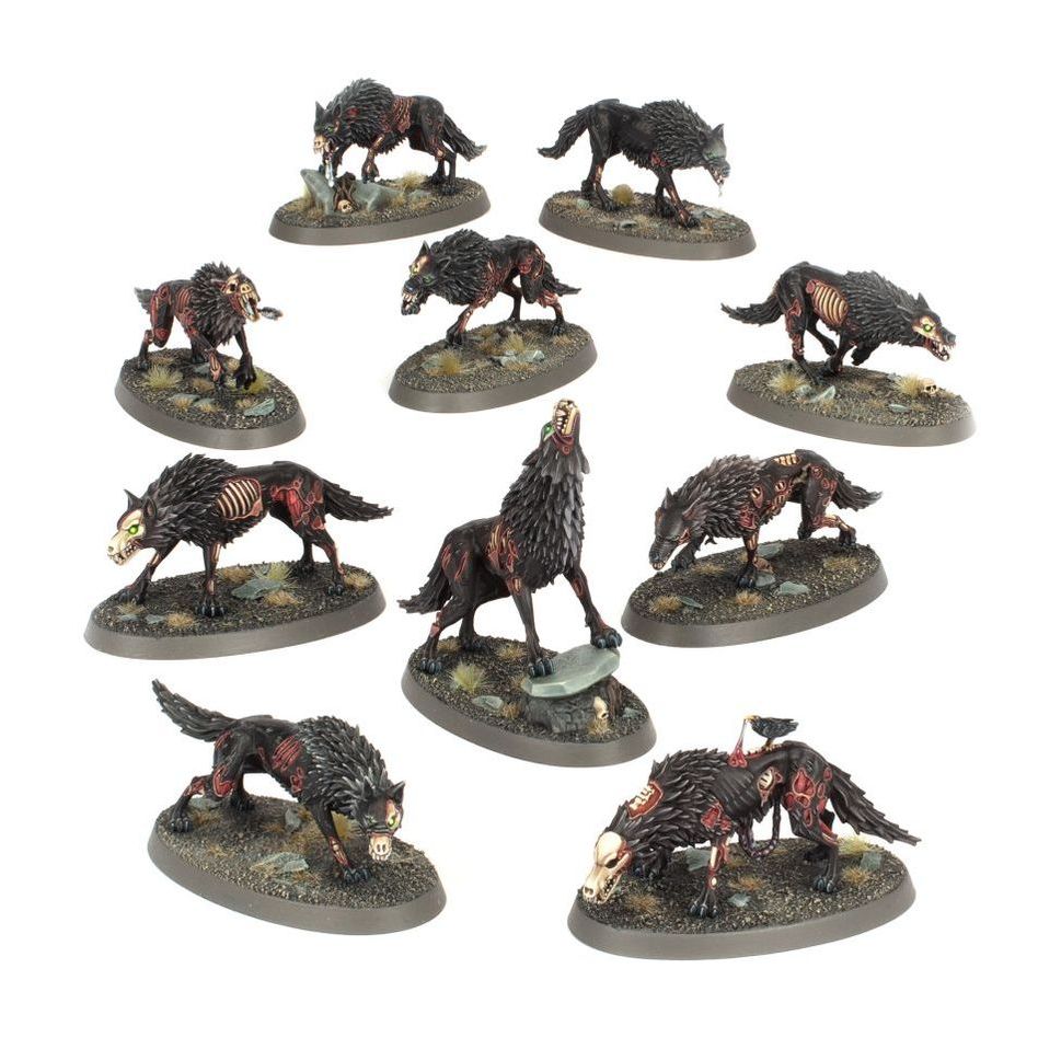 Warhammer AOS : Soulblight Gravelords : Dire Wolves | Shopee Thailand
