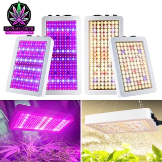 ช้อป LED ไฟปลูกต้นไม้ ง่าย ๆ บน Shopee | ก.ย. 2024