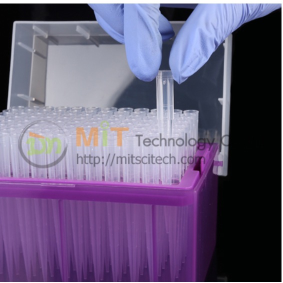 Pipette W/Filter Tip Pre-Sterile 10uL 200uL 1000uL 96ชิ้น/กล่อง ยี่ห้อ ...