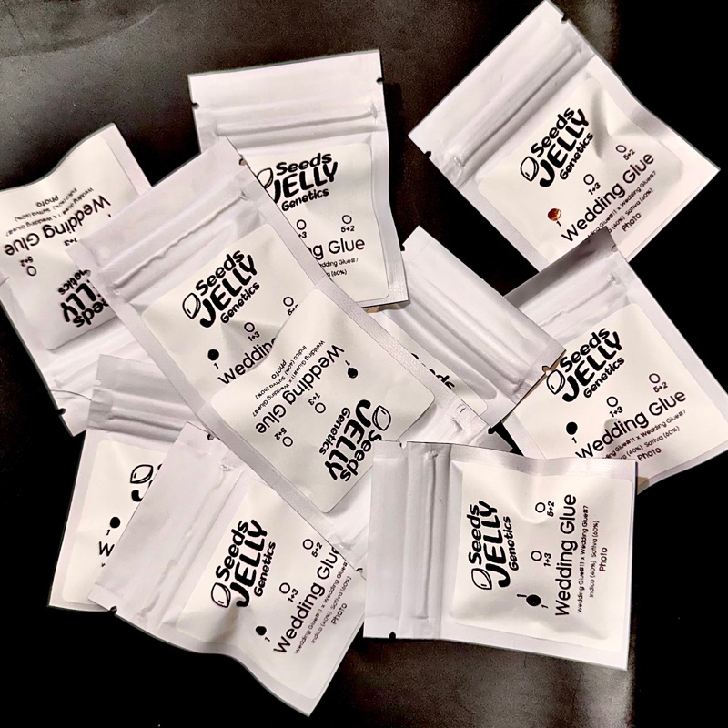 เมล็ด ค่าย Jelly seeds Genetics โฟโต้ เมล็ด เมียคัด | Shopee Thailand