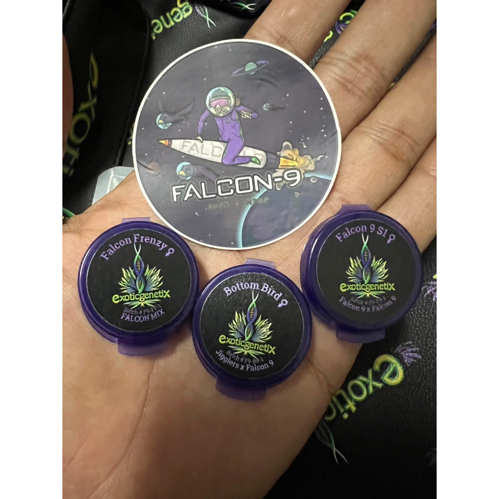 เมล็ดพันธุ์กัญชาค่าย exotic genetix seeds Falcon9 | Shopee Thailand