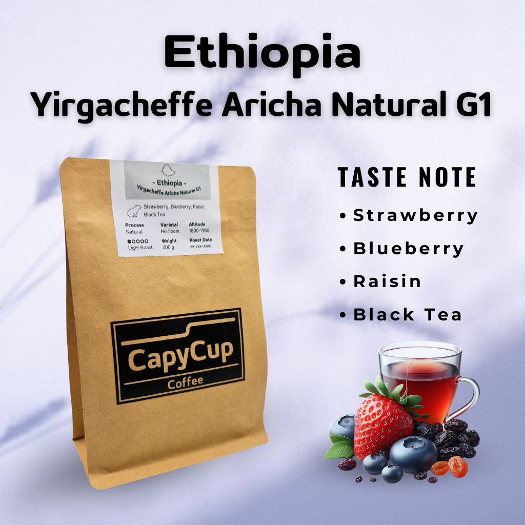 เมล็ดกาแฟ Ethiopia Yirgacheffe Aricha Natural G1 - CapyCup Coffee | Shopee Thailand