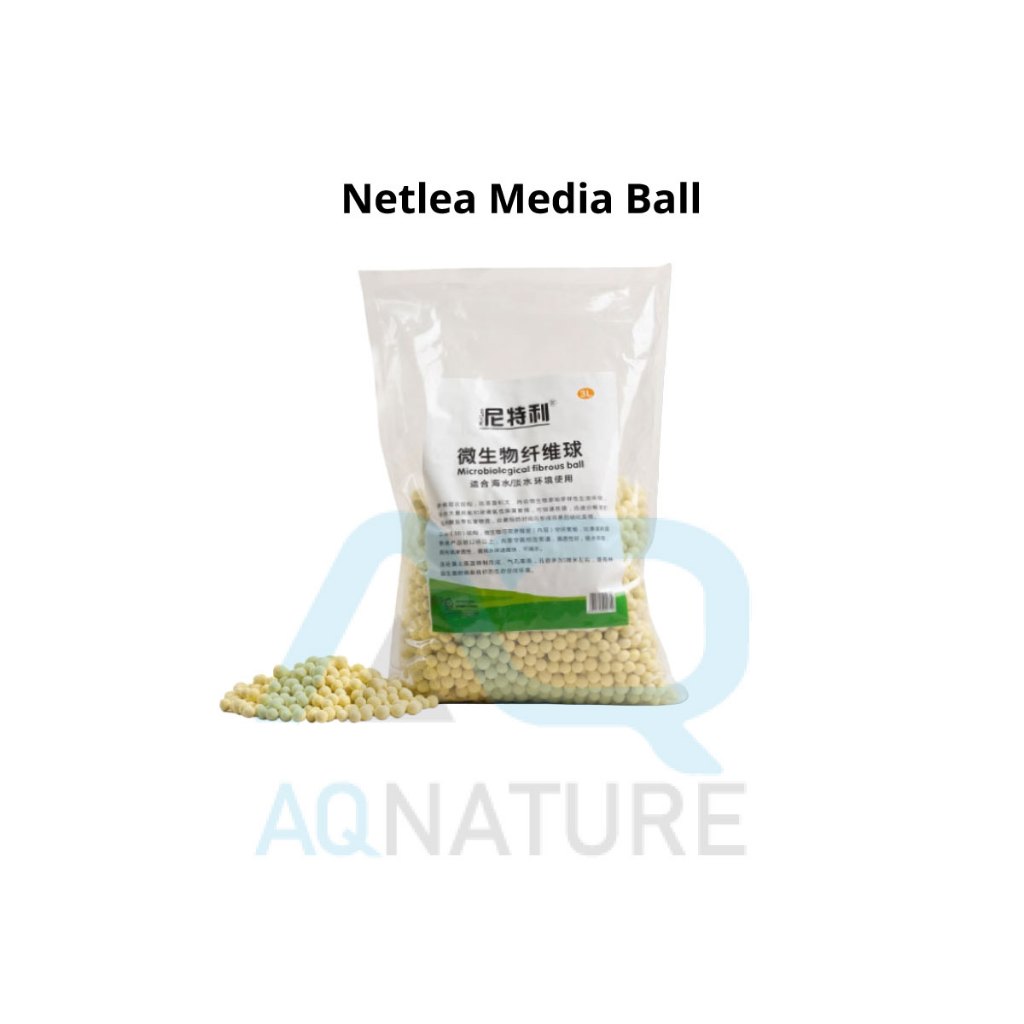Netlea Media วัสดุกรองแบบ Ring และ Ball รูพรุนสูงมากเป็นที่อยู่ ...