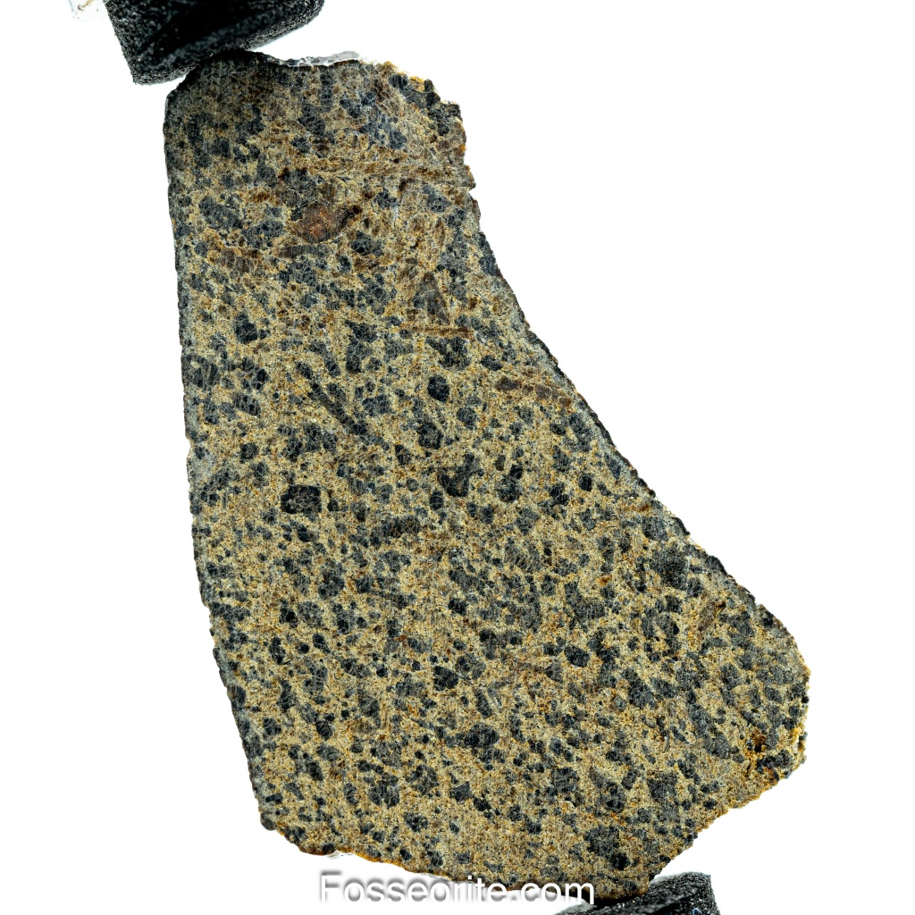 [ขนาดใหญ่+1013mg] อุกกาบาตดาวอังคาร NWA 14899 Martian Olivine Gabbroic ...