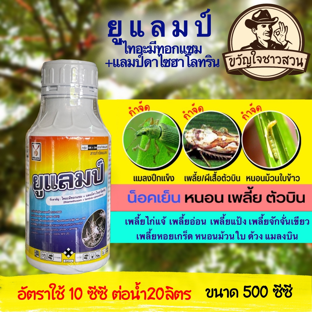 ยูแลมป์ 500ซีซี (ไทอะมีทอกแซม + แลมบ์ดา-ไซฮาโลทริน) เพลี้ยอ่อนถั่วฝัก ...