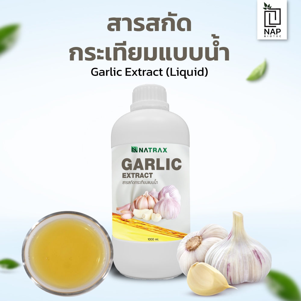 สารสกัดกระเทียมแบบน้ำ Garlic Extract Liquid (Allicin) | Shopee Thailand