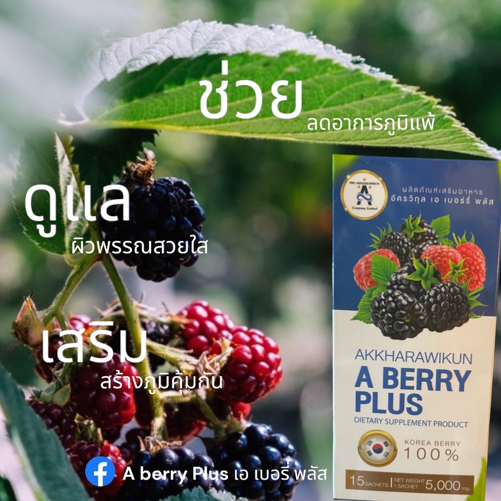 A Berry Plus เอ เบอรี่ พลัส | Shopee Thailand