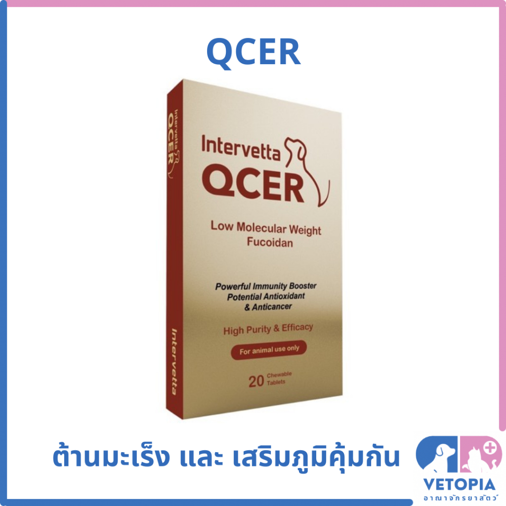 (1 กล่อง = 20 เม็ด) QCER อาหารเสริมต้านมะเร็ง และ เสริมภูมิคุ้มกันสำหรับสุนัขและแมว | Shopee ...