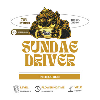 เมล็ดกัญชา สายพันธุ์: Sundae Driver | Shopee Thailand