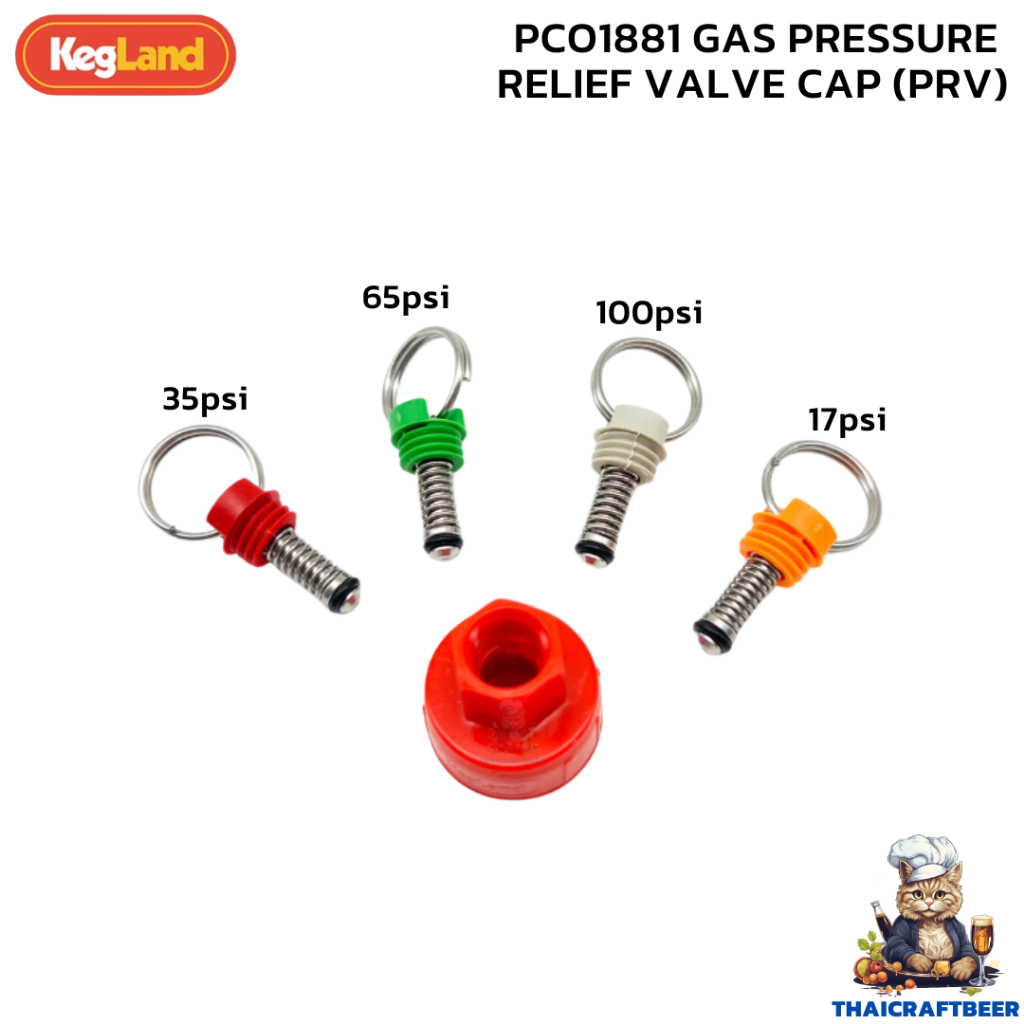 วาล์ว Gas Pressure Relief Valve Cap (PRV) KL20176 PCO1881 | Shopee Thailand