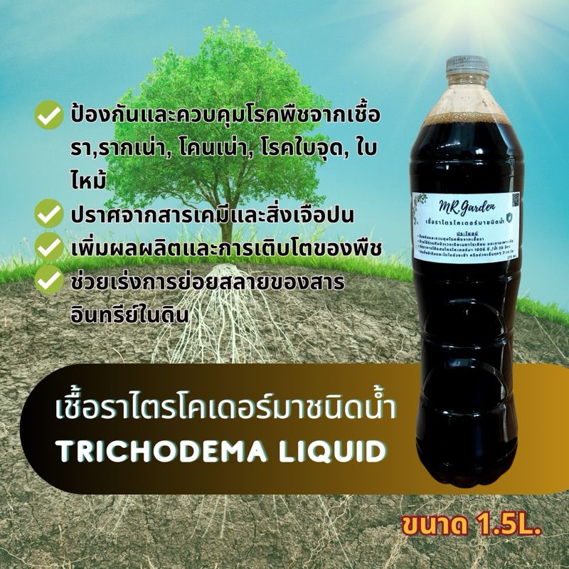 1.5Liter เชื้อไตรโคเดอร์มาชนิดน้ำ พร้อมใช้ 1.5ลิตร Trichoderma liquid ...