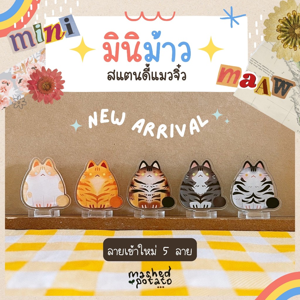 [⭐️มีราคาส่ง] MINI STANDY มินิม้าว สแตนดี้แมว ของแต่งโต๊ะ ของสะสมลายแมว ...