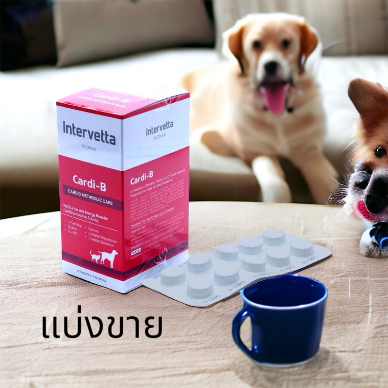 ( 1 แผง 10 เม็ด ) Dr. Choice Cardi B Intervetta บำรุงหัวใจ สุนัข แมว supplement dog cat/ Exp 25 ...