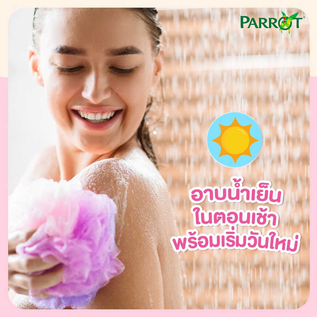 ถูกที่สุดแล้ว !! น้ำยาล สบู่นกแก้ว Parrot 55 กรัม | Shopee Thailand