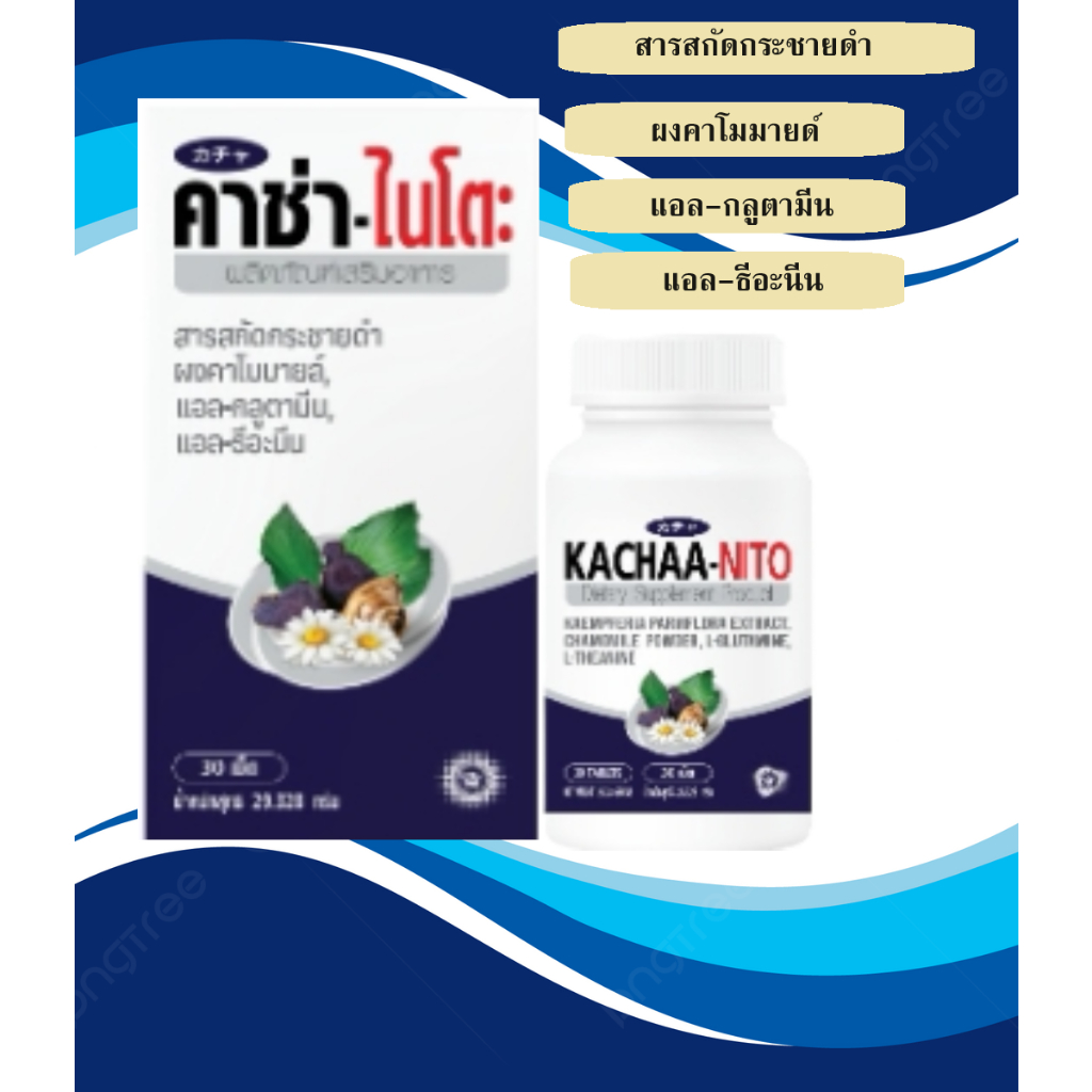 KACHAA NITO (คาช่าไนโตะ ผลิตภัณฑ์เสริมอาหาร) 1 กระปุก จำนวน 30 เม็ด ...
