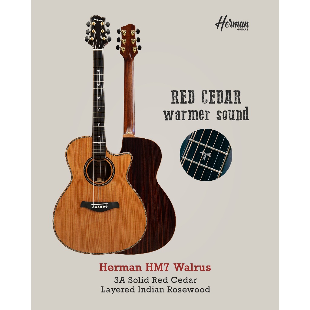 Herman HM7 Walrus 3A Solid Red Cedar, Layered Indian Rosewood | Shopee ...