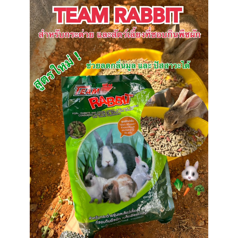 Team Rabbit ยกกระสอบ อาหารกระต่ายรุ่นและสัตว์เลี้ยงน่ารักอื่นๆ ที่ชอบกินพืชผัก เมล็ดพืชและหญ้า ...