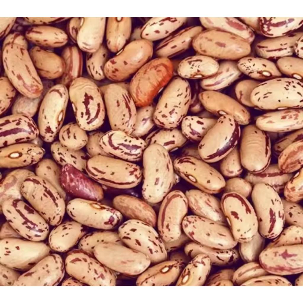 Rajma Chitra 500g Pinto Beans ถั่วปินโต | Shopee Thailand