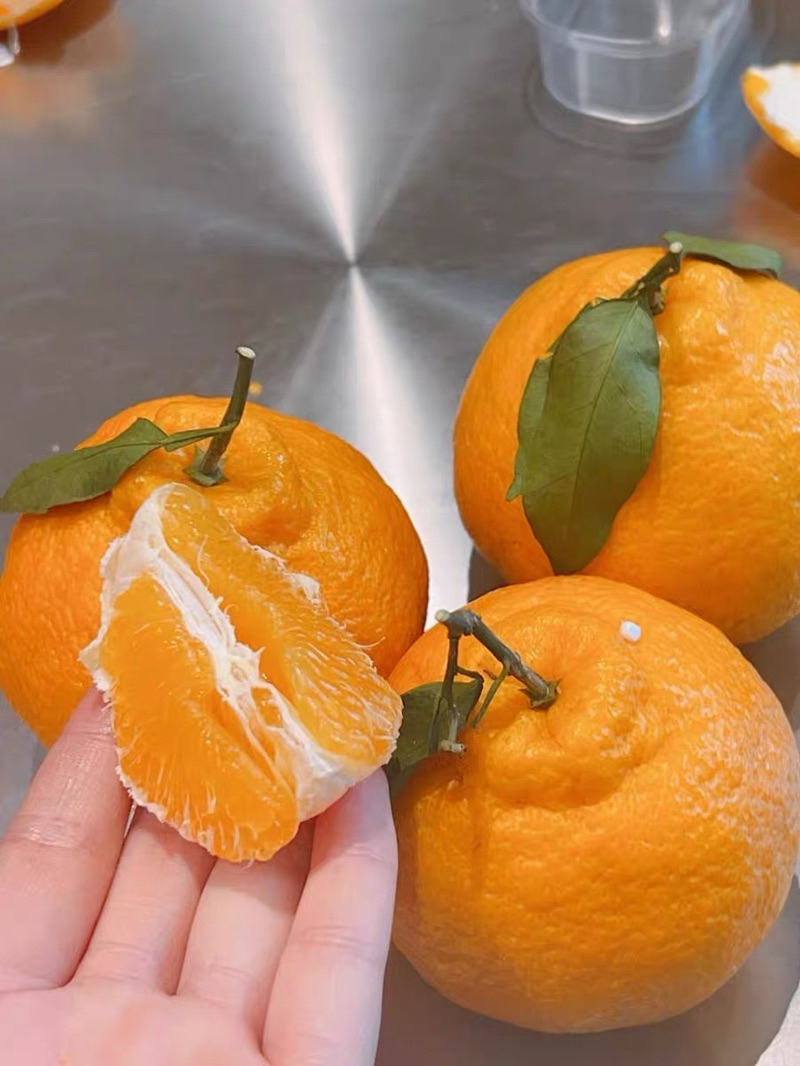 ส้มจุก ส้มเดโกปอง 1กิโล เปรี้ยวอมหวาน ฉ่ำน้ำ เนื้อส้มเกล็ดแน่นละเอียด ...