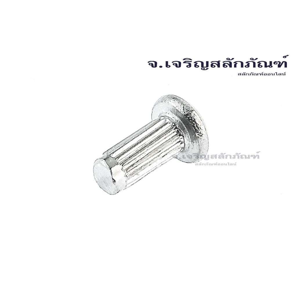 หมุดย้ำ M2 M2.5 M3 M3.5 M4 M5 M6 (แพ็คละ 10 ตัว) ป้ายชื่อ หมุดย้ำเนมเพล ...