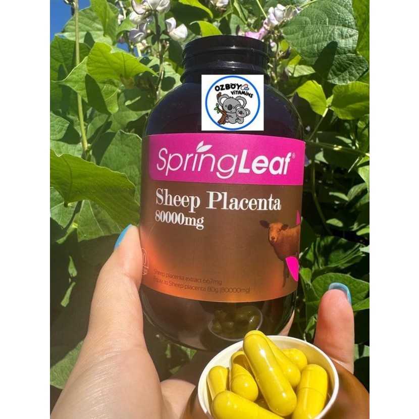 Spring leaf sheep placenta 80,000mg. | Shopee Thailand