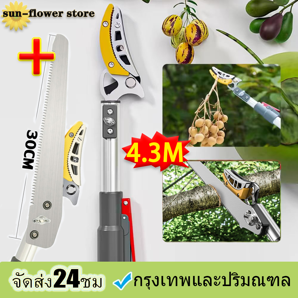 【แถมเลื่อยฟัน 30 ซม.】กรรไกรตัดกิ่ง (ยืดได้ 4.3mกรรไกรยาว) SK5 นำเข้า กรรไกรตัดผลไม้ การเก็บผลไม้ ...