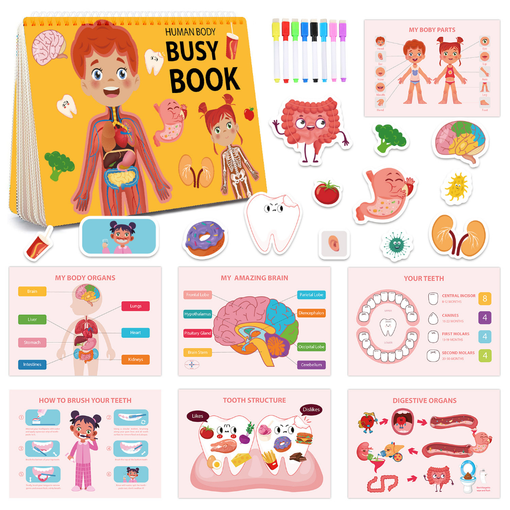 Busy Book สมุดกิจกรรม Human Body | Shopee Thailand
