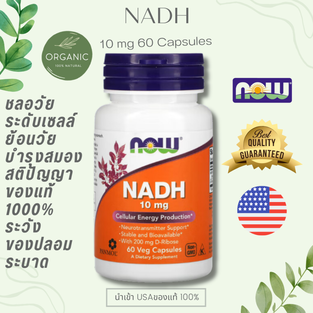 Now Foods NADH 10 mg, 60 Veg Capsules ชะลอวัยระดับเซลล์ ชะลอการเสื่อม ...
