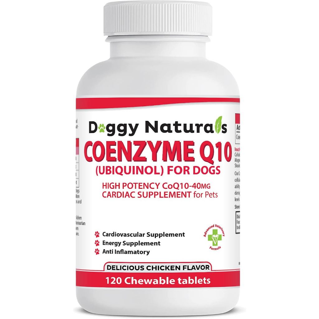 Coenzyme Q10 for Dog โคเอ็นไซม์คิวเทน บำรุงหัวใจสุนัข กล้ามเนื้อหัวใจ ...