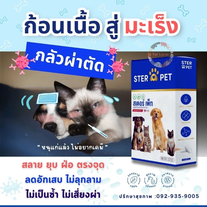 Ster Pet (ส เตอร์ เพ็ท ) สารอาหาร ต้าน มะเร็ง เนื้องอก น้องหมาน้องแมว ...