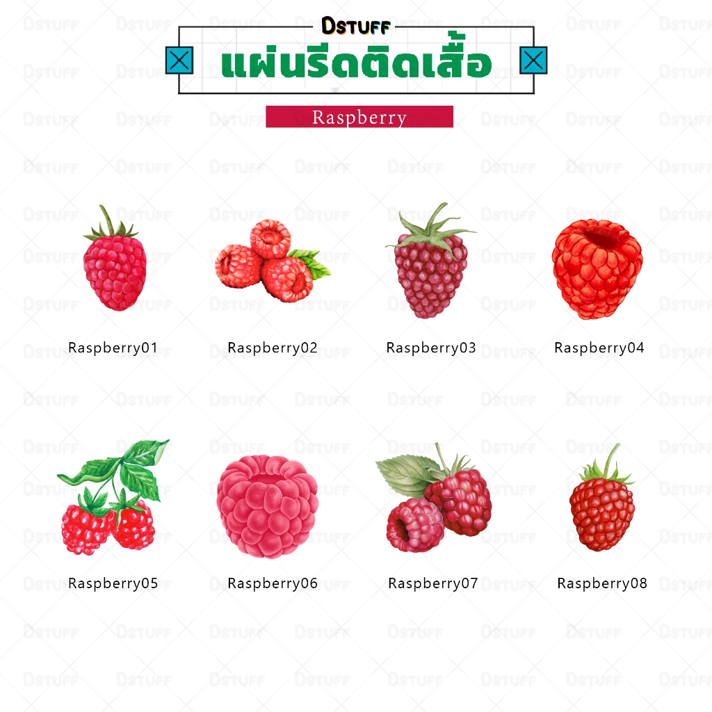 Raspberry ตัวรีดติดเสื้อ แผ่นรีด แผ่นสกรีน ตัวสกรีน ตัวสกรีนผ้า Patch ...