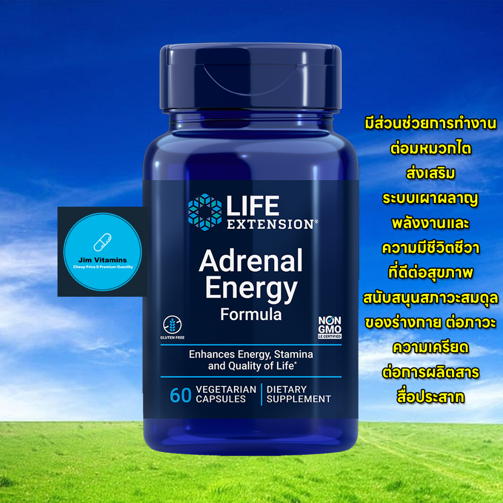 Life Extension Adrenal Energy Formula / 60 Veg Capsules | Shopee Thailand