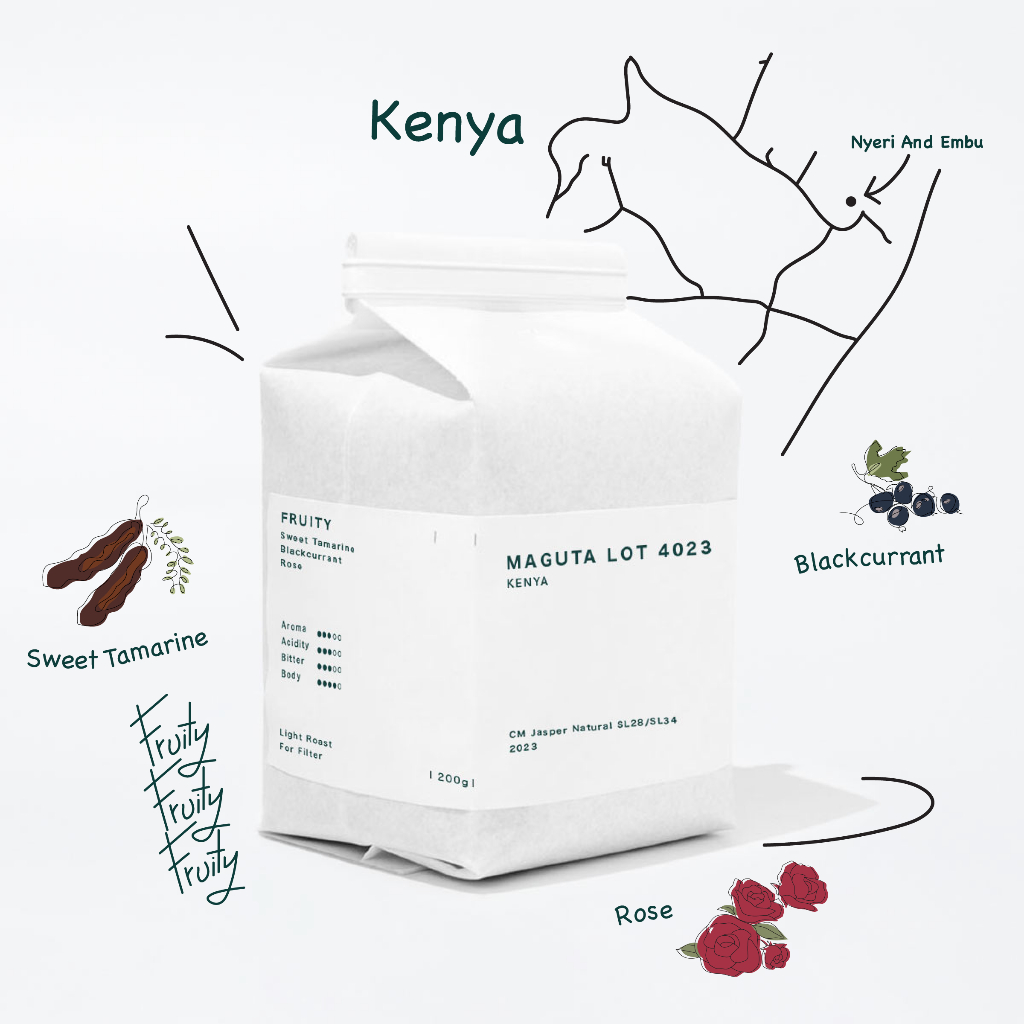 เมล็ดกาแฟคั่ว MATORI Kenya, Maguta Lot 4023 CM Jasper Natural SL28/SL34 ...