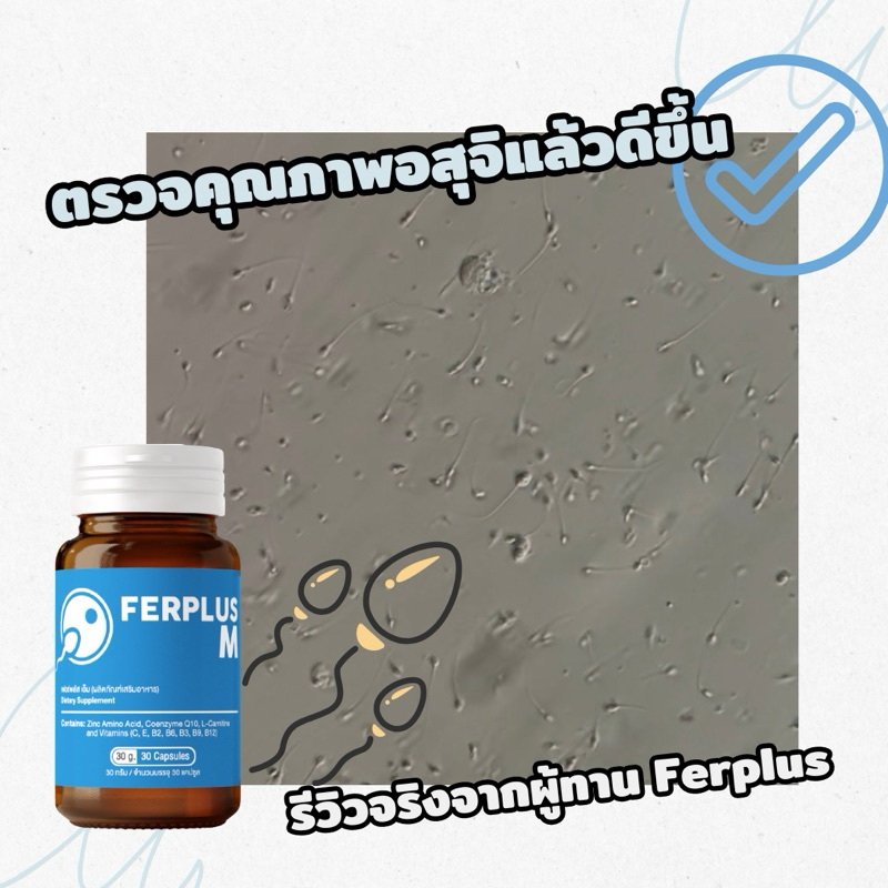 บำรุงอสุจิ เพิ่มสมรรถภาพ วางแผนมีบุตร Ferplus M | Shopee Thailand