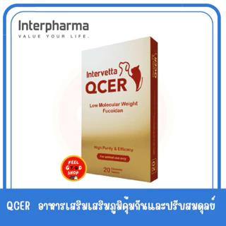 qcer ราคาพิเศษ | ซื้อออนไลน์ที่ Shopee ส่งฟรี*ทั่วไทย!