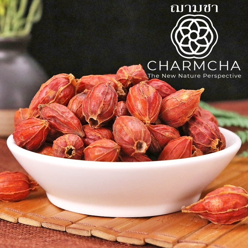 เม็ดพุด หรือ กีจี้ (Gardenia fruit) พุดซ้อน พุดใหญ่ ในการช่วยระบายความ ...