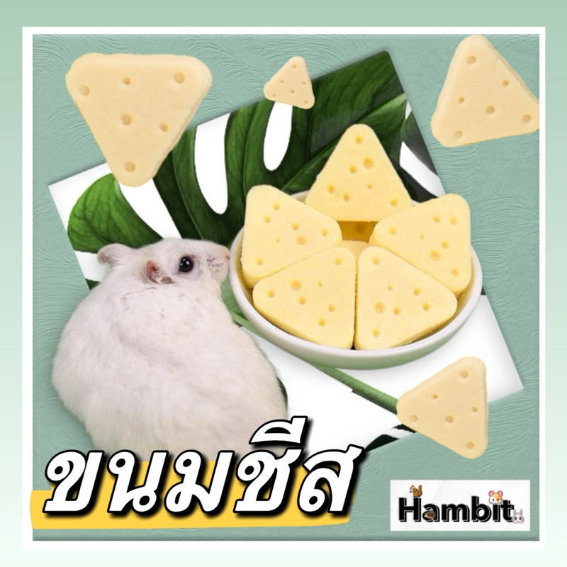 Hambit. ขนมชีสเค้ก สำหรับแฮมเตอร์ ชูการ์ไกร์เดอร์ เม่น ดอร์เม้าส์ เหมาะ ...