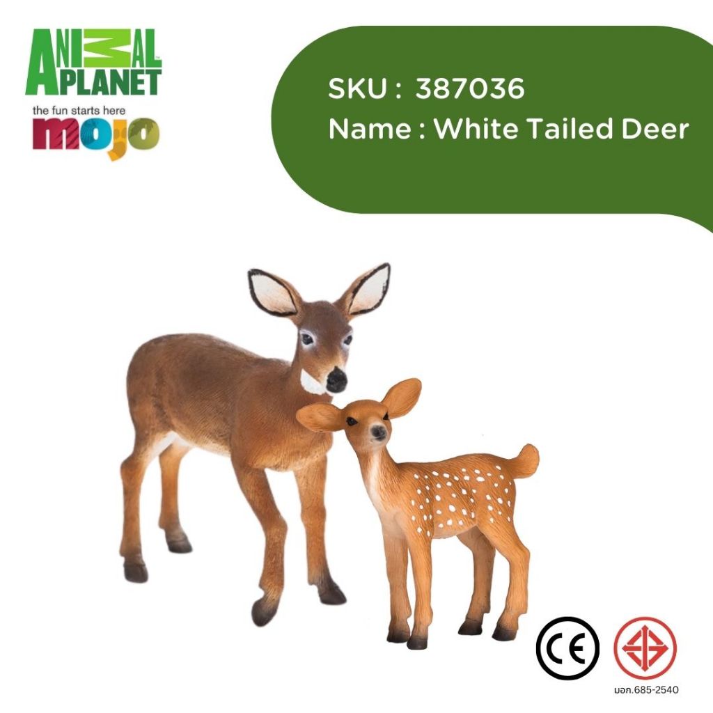 Figure Mojo โมเดล ของเล่นเด็ก Animal Planet Model 387036 White Tailed ...