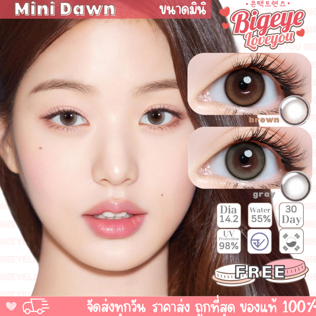 คอนแทคเลนส์ Mini Dawn Brown / Gray / Black (Kitty Kawaii) ขนาดมินิ 🌷 ลายฮิต สุดปังในเกาหลี ...