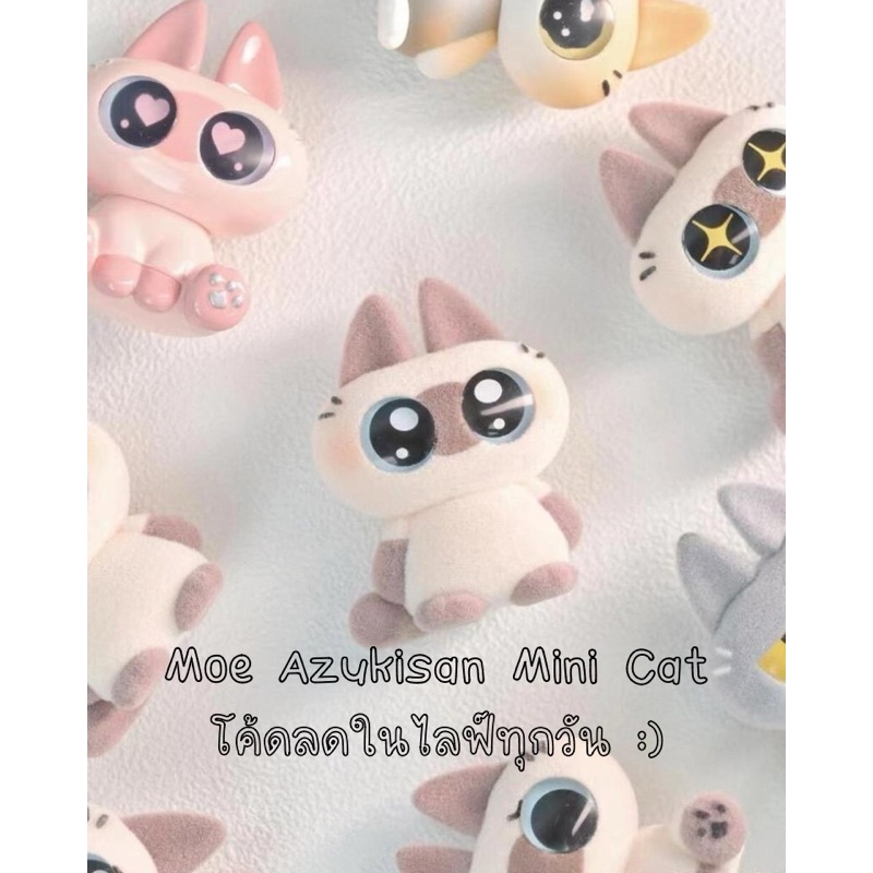 🌷(โค้ดลดไลฟ์+วิดิโอทุกวัน!) พร้อมส่งกล่องสุ่ม Moe Azukisan Mini Cat ...