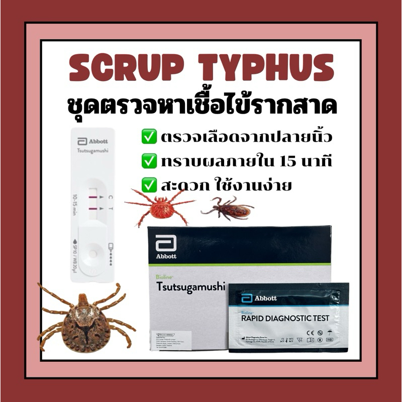 ชุดตรวจเชื้อไข้รากสาดScrup Typhus | Shopee Thailand