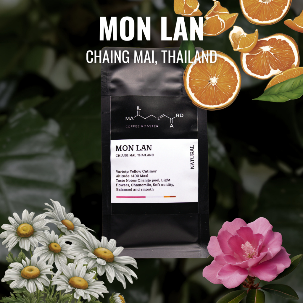 Maillard Coffee Roaster เมล็ดกาแฟคั่ว ม่อนล้าน Mon Lan Chiang Mai (คั่ว ...