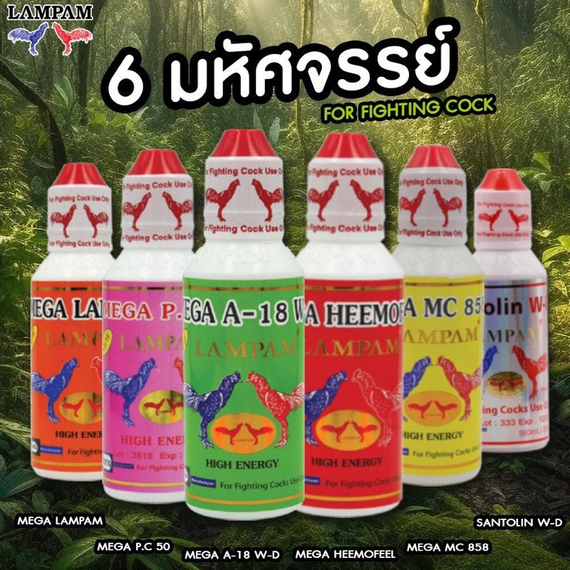 ลำปำ…อาหารสัตว์ปีก6มหัศจรรย์ | Shopee Thailand