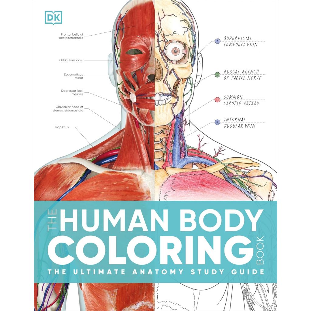(ภาษาอังกฤษ) THE HUMAN BODY COLORING BOOK: THE ULTIMATE ANATOMY STUDY ...