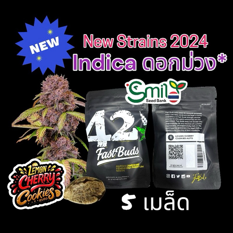 เมล็ดกัญชา Lemon Cherry Cookies (Auto) - Fastbuds ใหม่ล่าสุด 2024 New ...