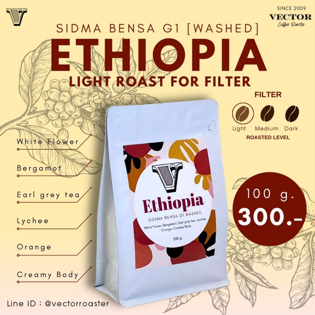 VECTOR: Ethiopia Sidama Bensa Bombe Tadisa Washed G1 for filter 100 ...