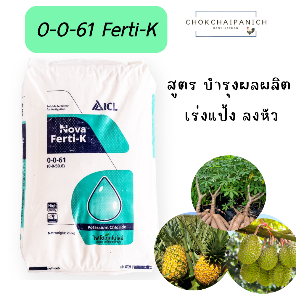 ปุ๋ย 0-0-61 Ferti-K (โพแทสเซียมคลอไรด์) กระสอบ 25 Kg. | Shopee Thailand